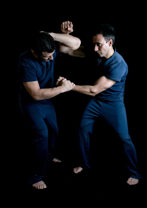 WingFight :: Wing Revolution Limburg